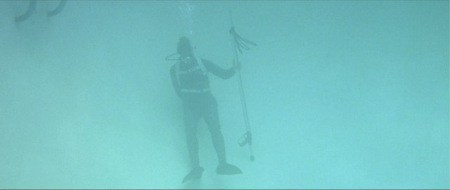 The Graduate Underwater Scene In The Presence Of Uminchu By Annie