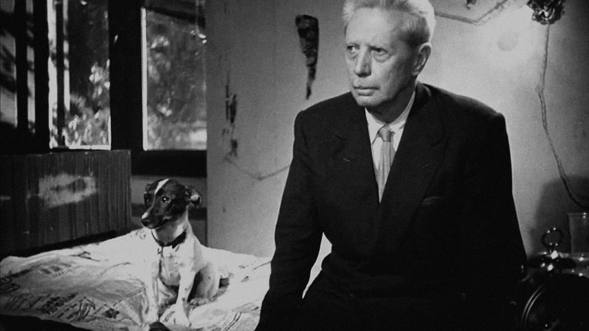 Umberto D. – Review – Cinema from the Spectrum