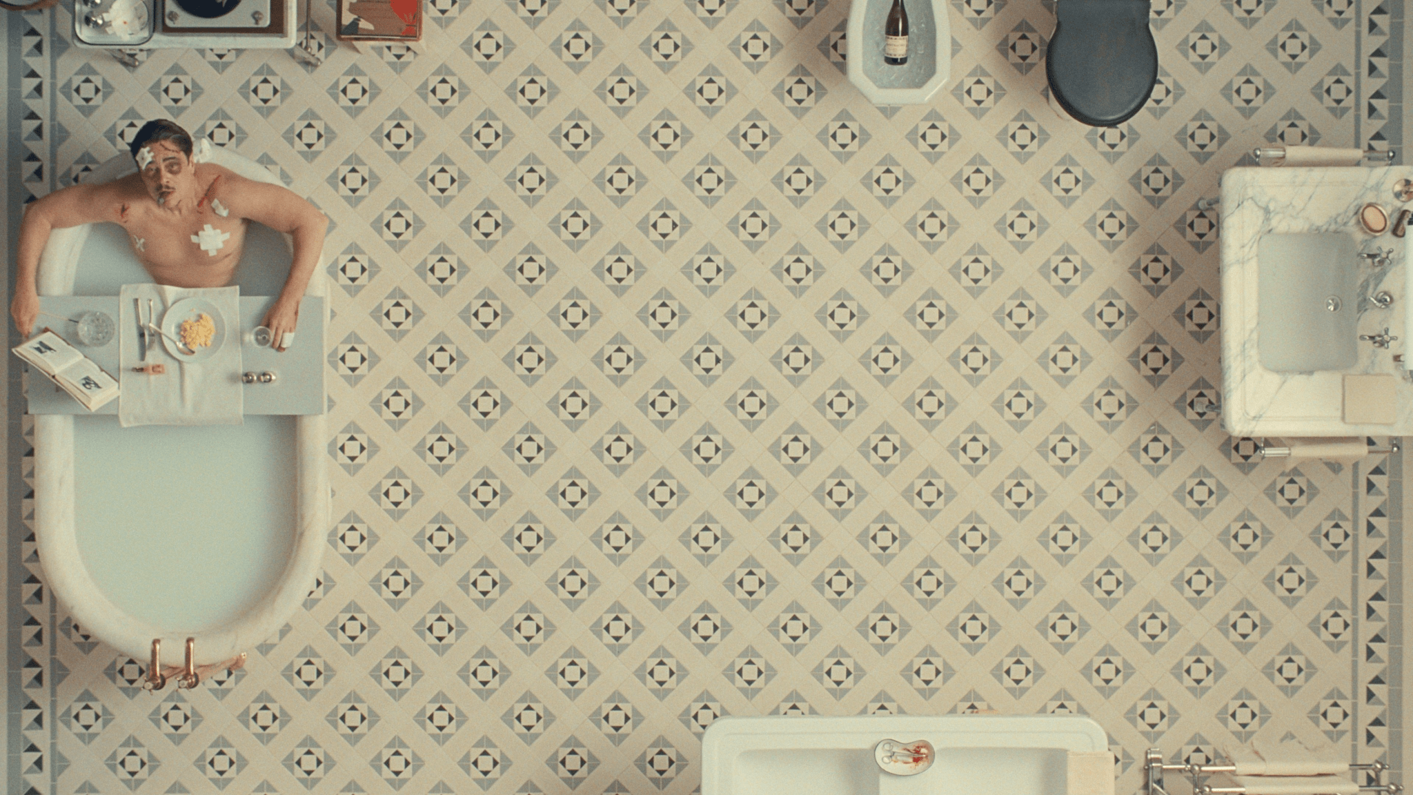 6822159813 is fluent in English she Latina type form